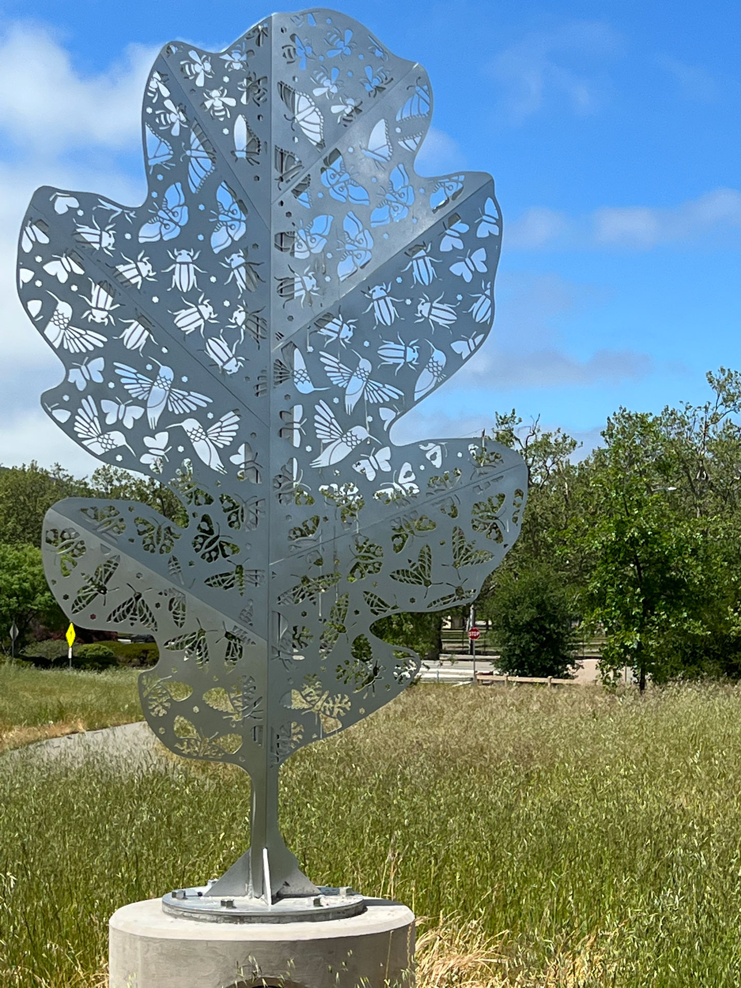 Nurturing Open Space – Pleasanton Cultural Arts Counci